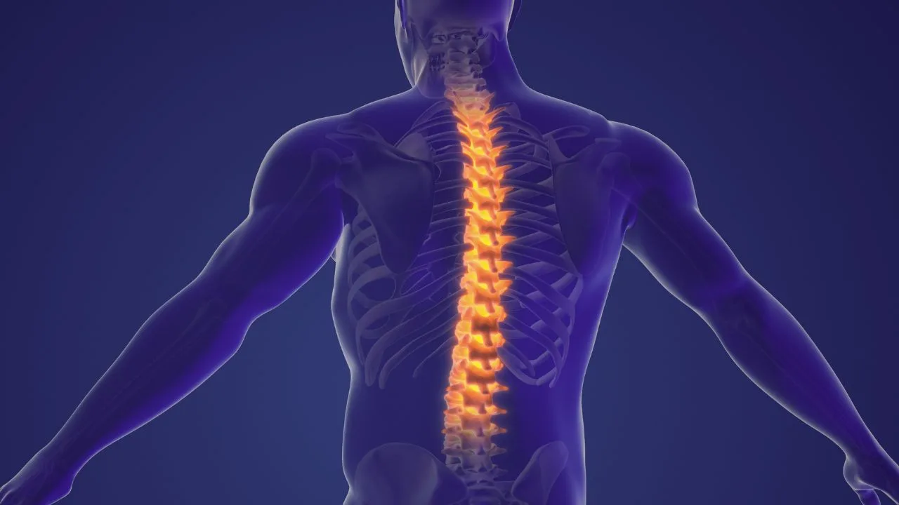 The Villages Spinal Cord Injury Attorney | No-Win, No-Fee